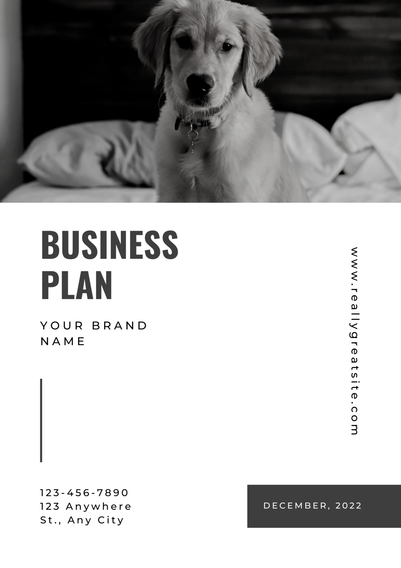 Pet Hotel Business Plan [2024- Download Free Template]