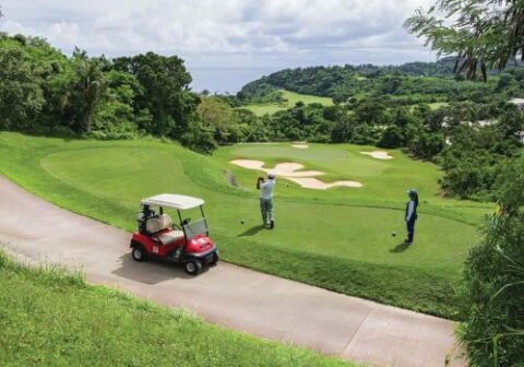 Golf Course Business Plan - [2024 - Download Free Template]